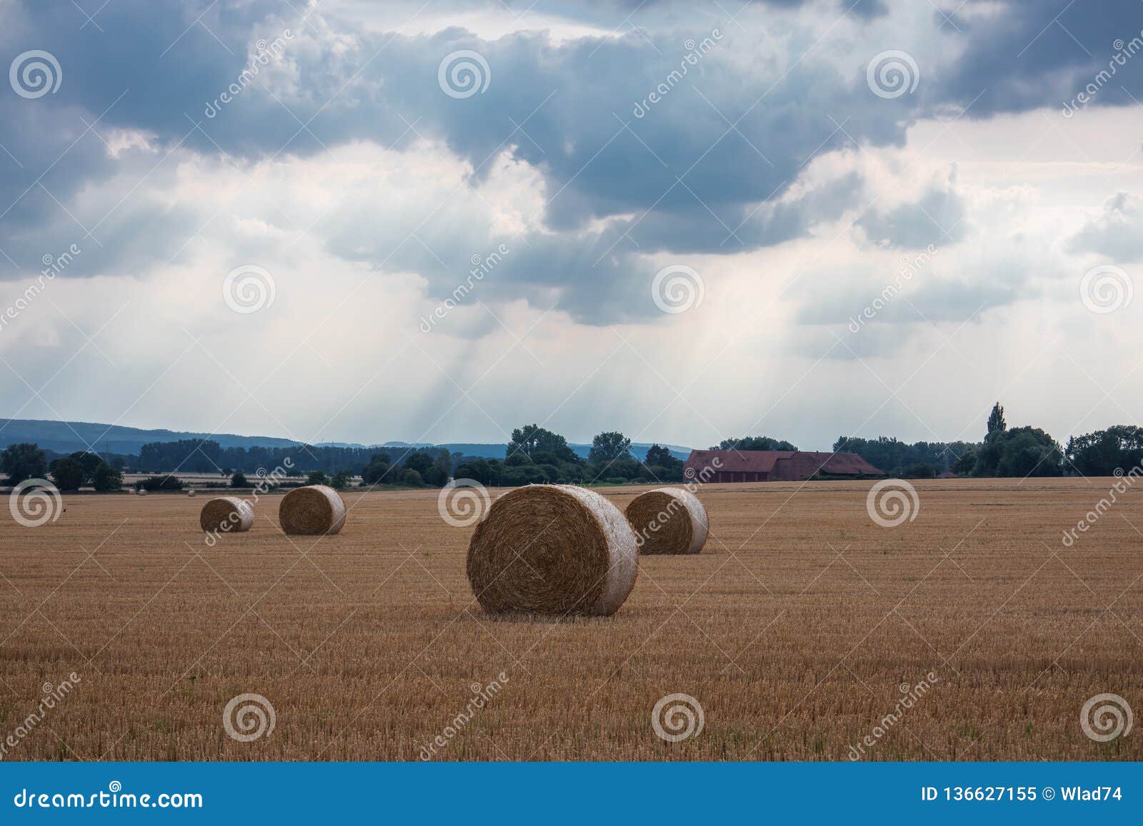 The Haystack on a Field, Germany Stock Image - Image of gather, plant ...