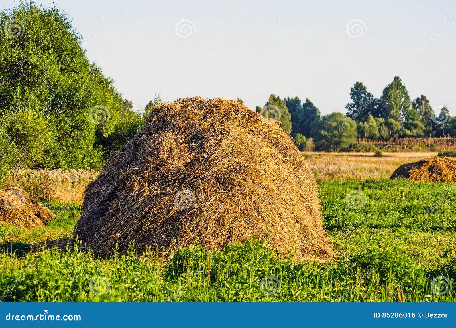 Haystack field grass view stock photo. Image of crop - 85286016