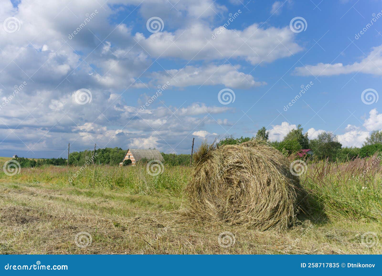 A Haystack in a Field during Harvesting Stock Image - Image of outdoors ...