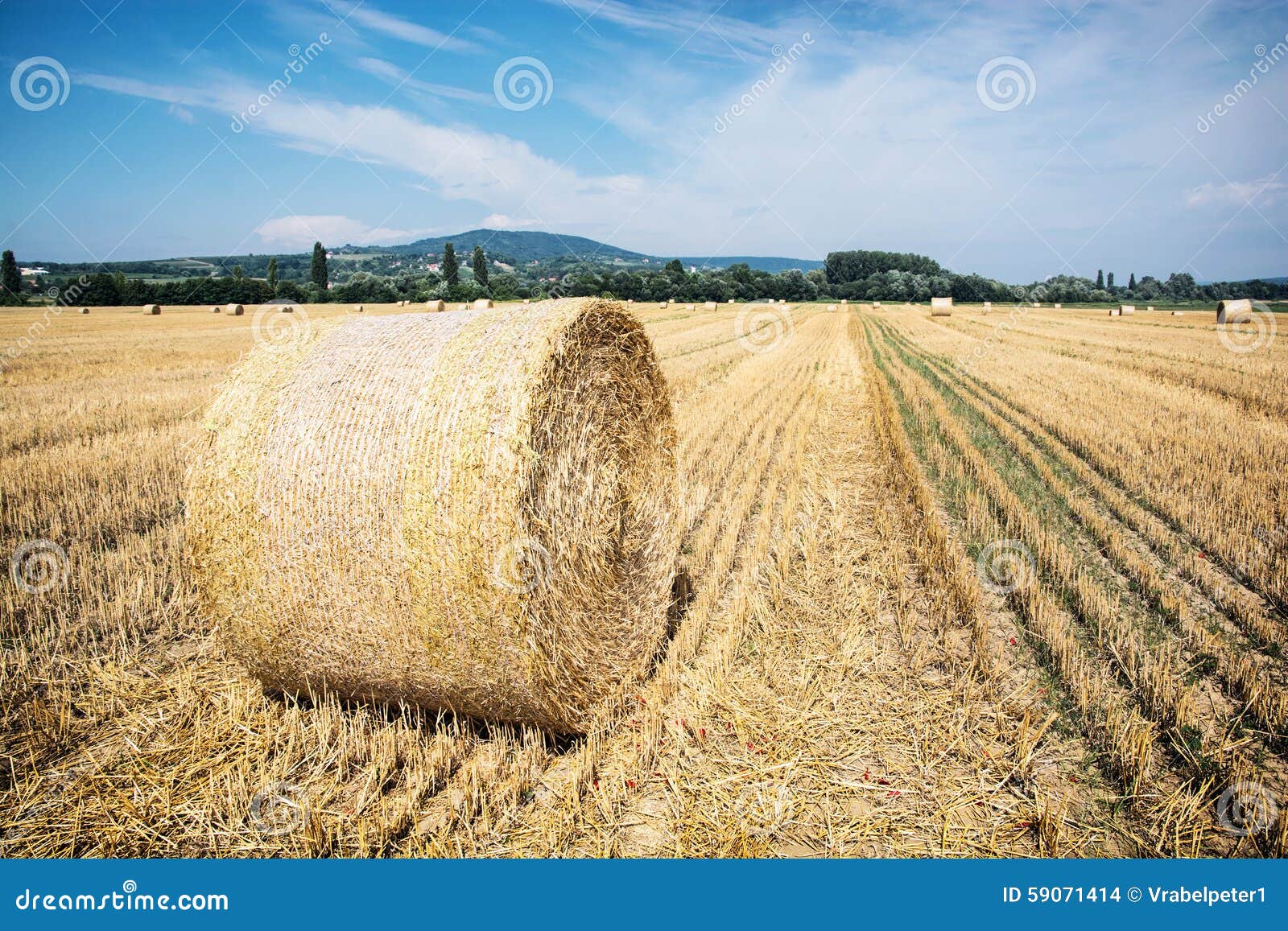 Haystack in the field stock photo. Image of dried, harvesting - 59071414