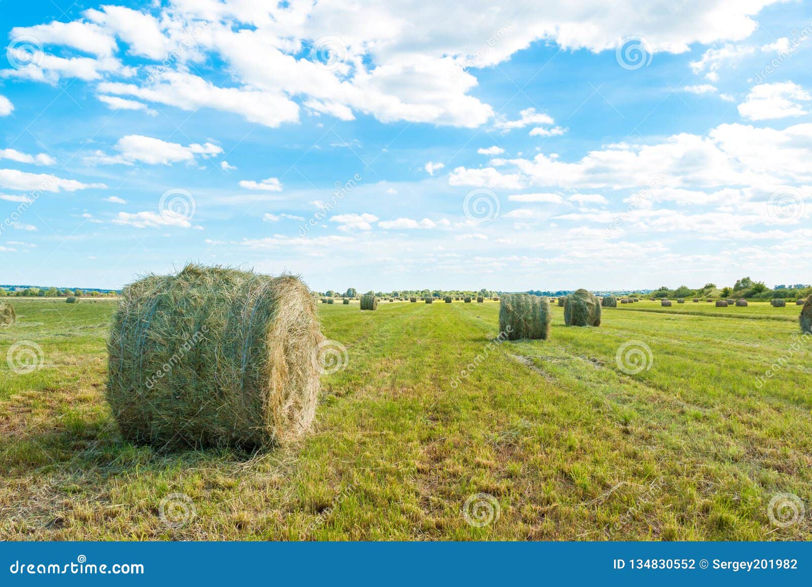 Haystack on the Field. Hayfield Stock Photo - Image of bale, farmland ...