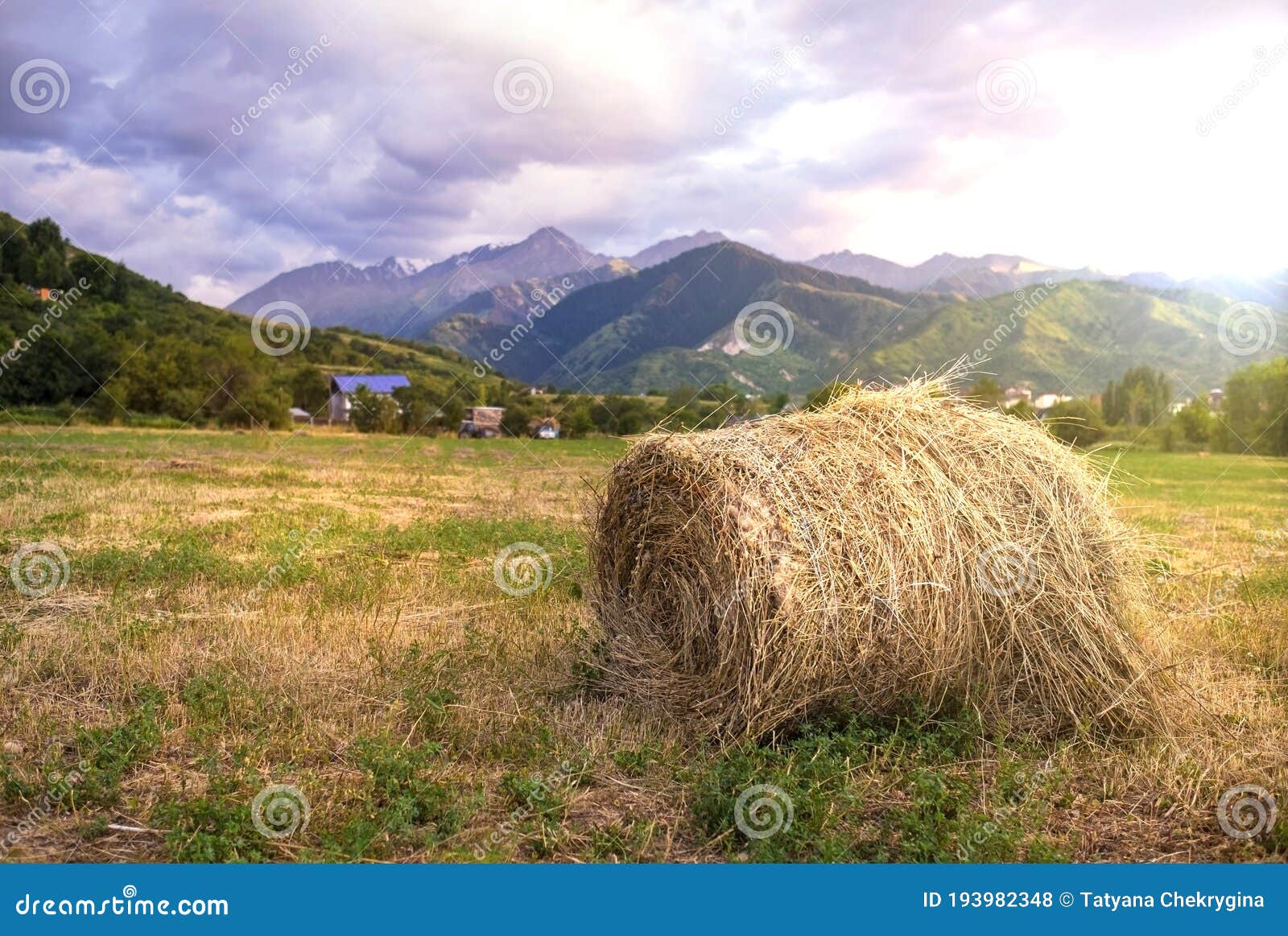 Haystack on the Field with Mountains on the Background Stock Photo ...