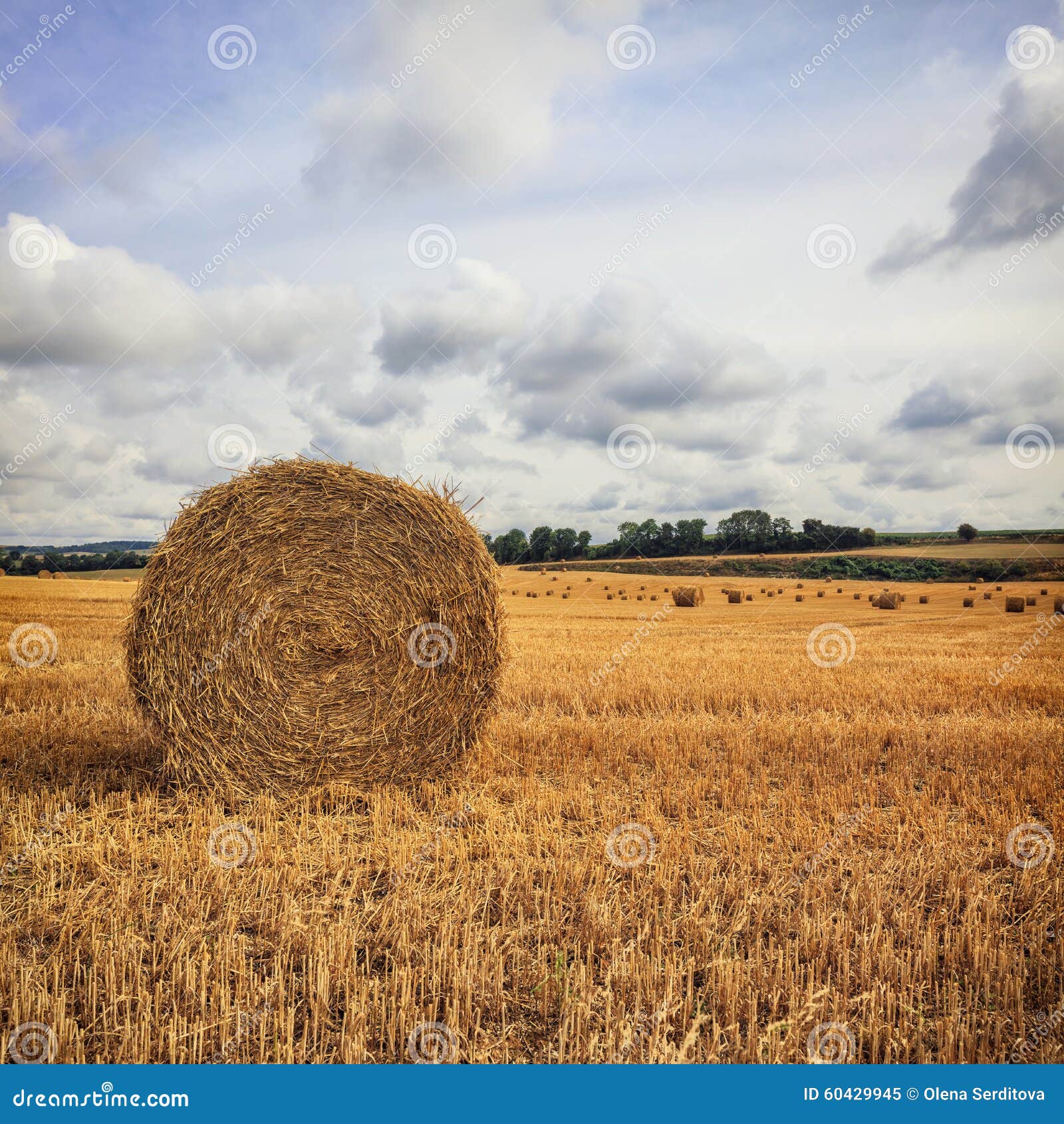 Haystack in the field stock image. Image of meadow, hayrick - 60429945
