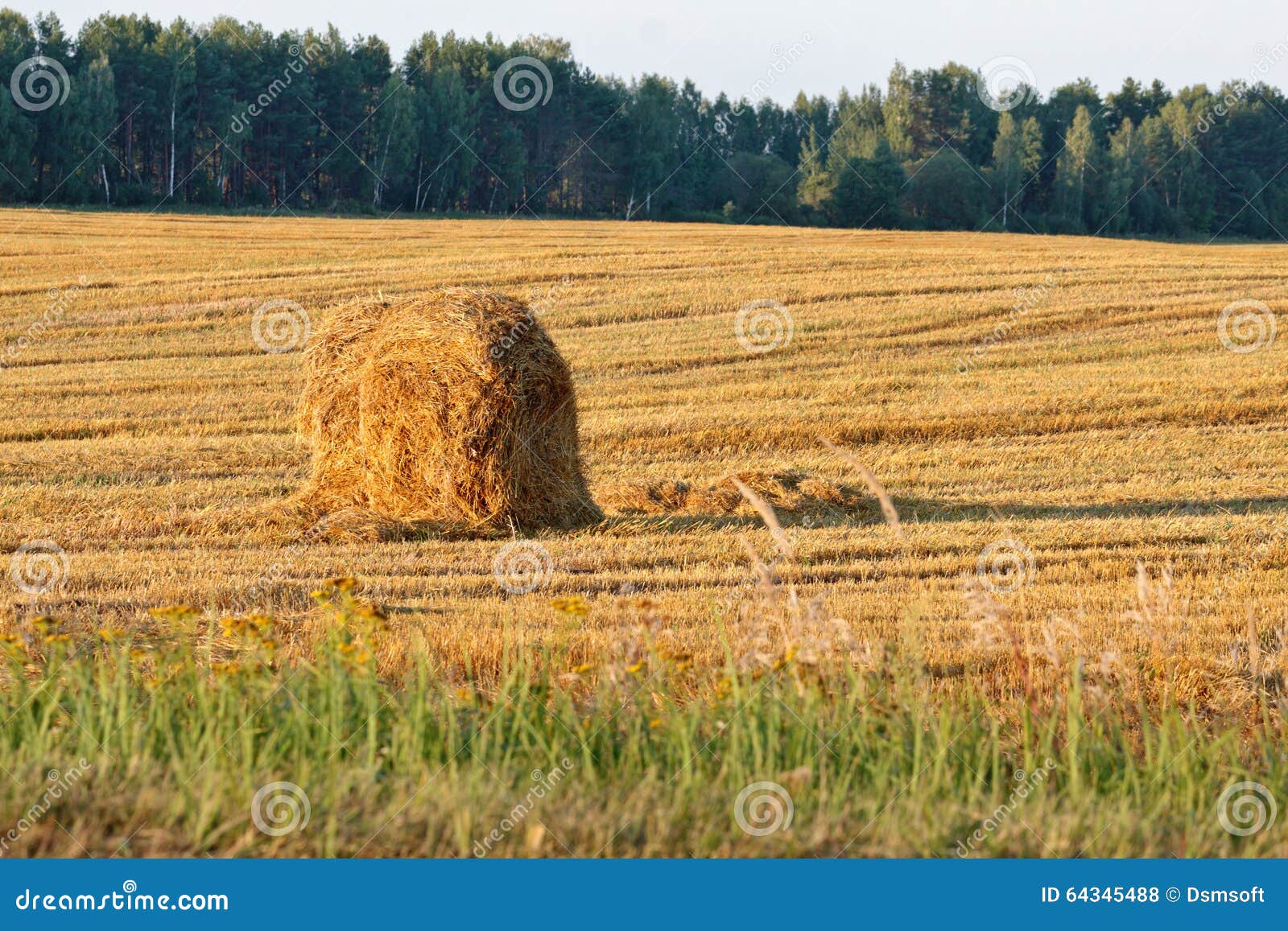 Haystack on a Field in Russian Countryside Stock Photo - Image of ...