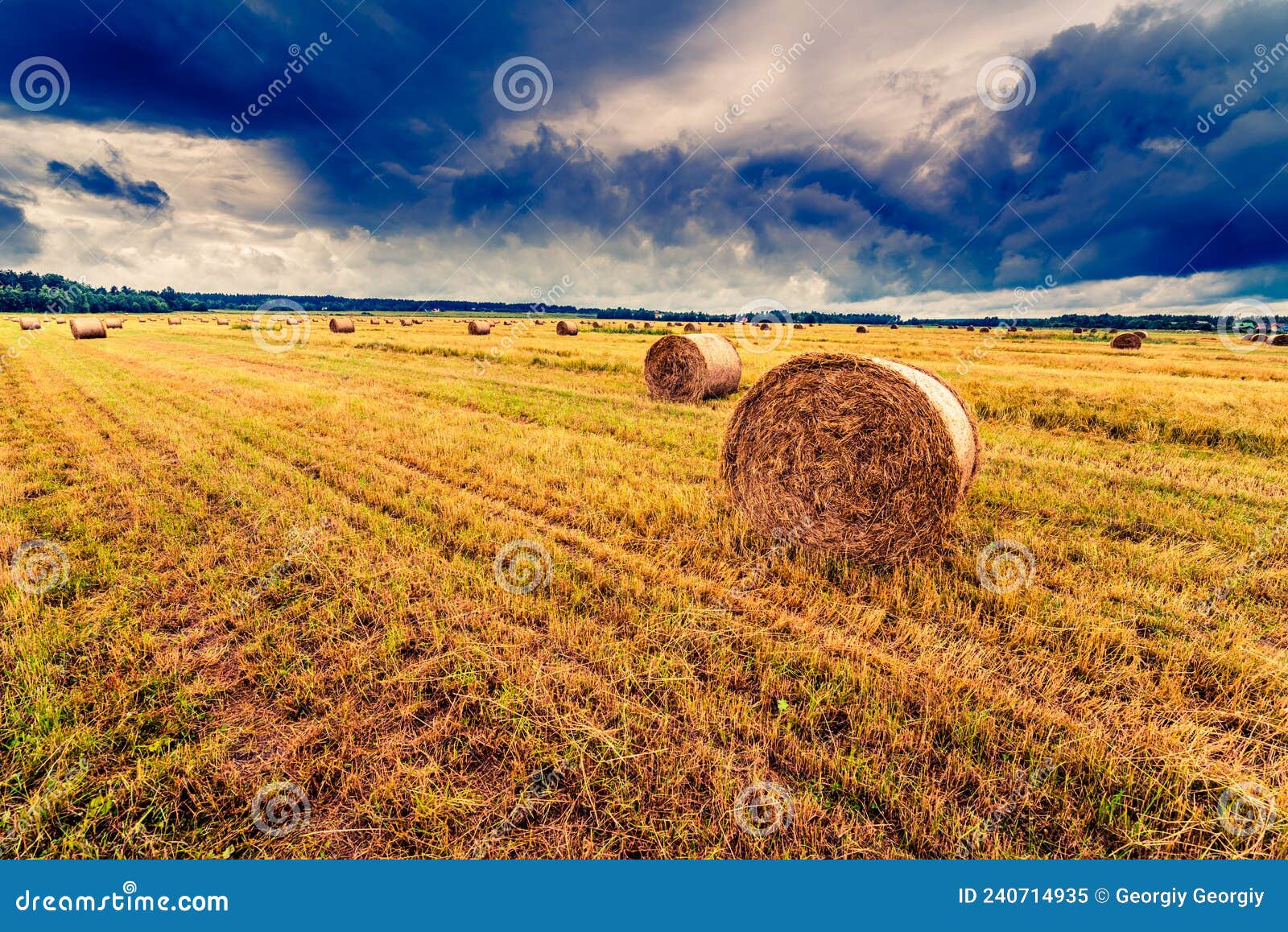 Haystack in the field stock image. Image of pasture - 240714935
