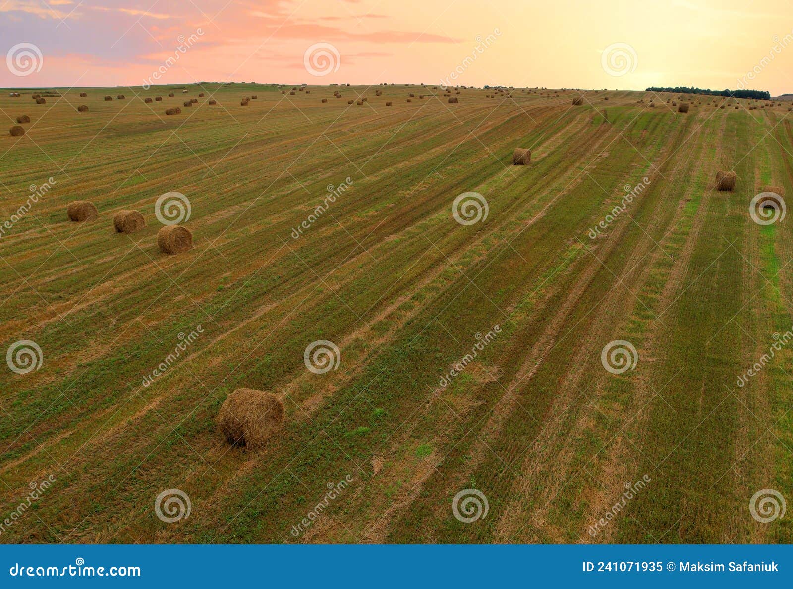 Haystack on Field on Sunset Background. Hay Bale from Residues Grass ...