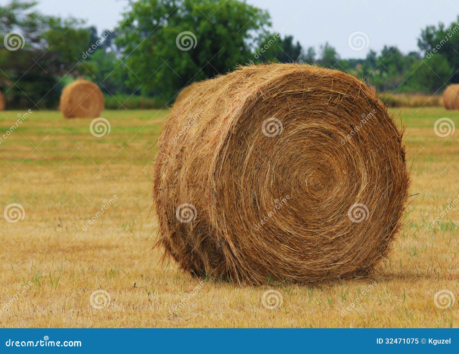 Haystack on the field. US stock image. Image of nature - 32471075
