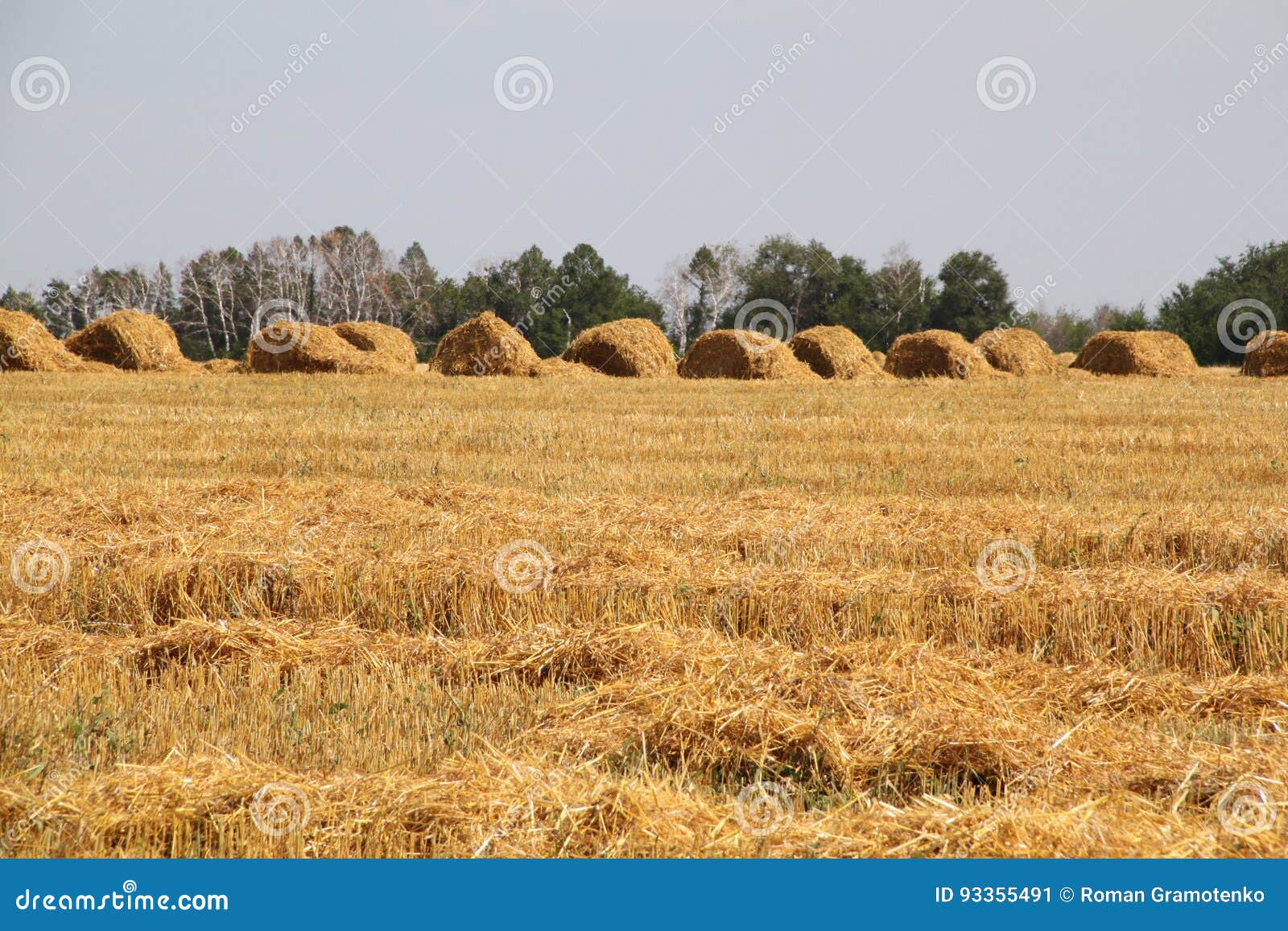 10,919 Round Haystack Stock Photos - Free & Royalty-Free Stock Photos ...