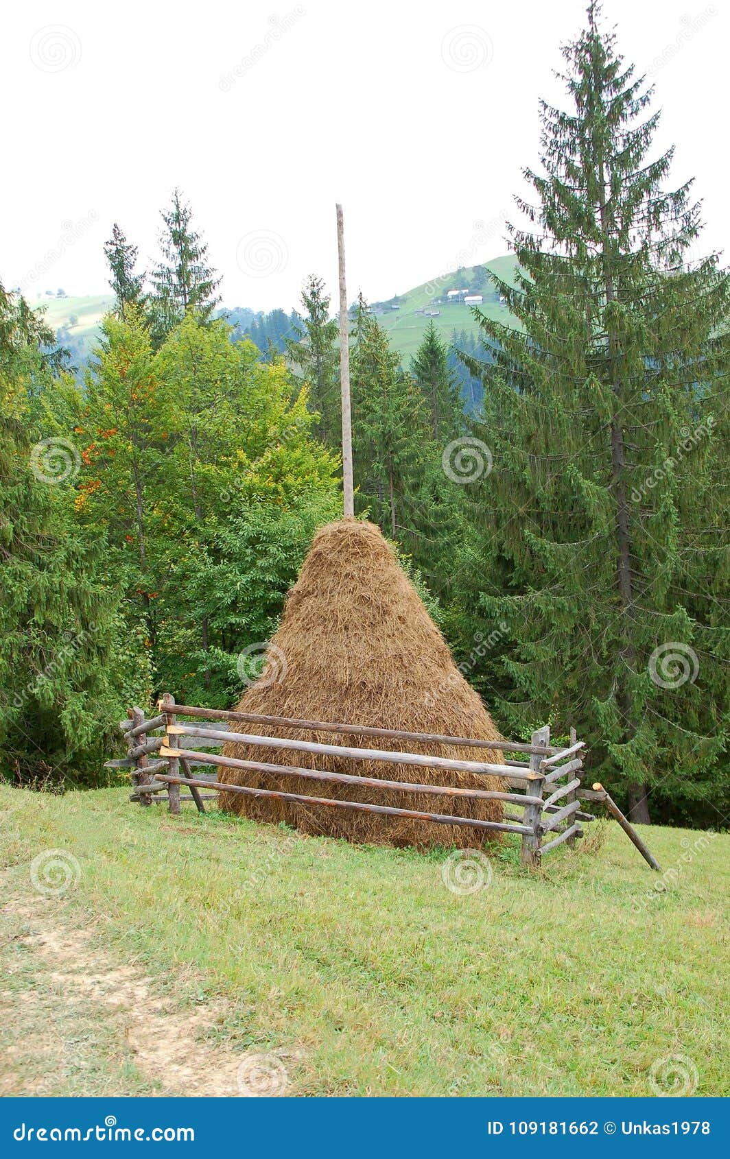 Haystack and fir tree stock photo. Image of haymow, nature - 109181662