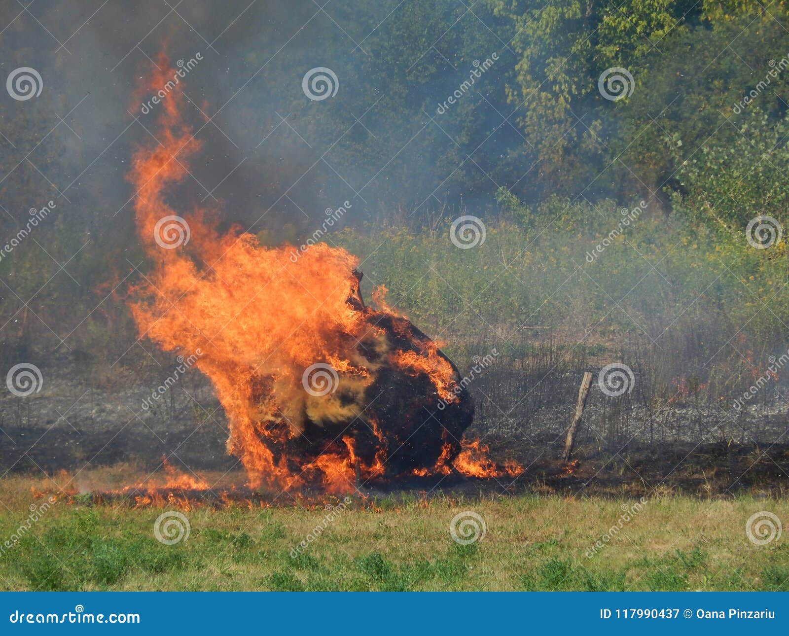 Haystack in Fire in a Hot Summer Day Stock Image - Image of grass, wild ...