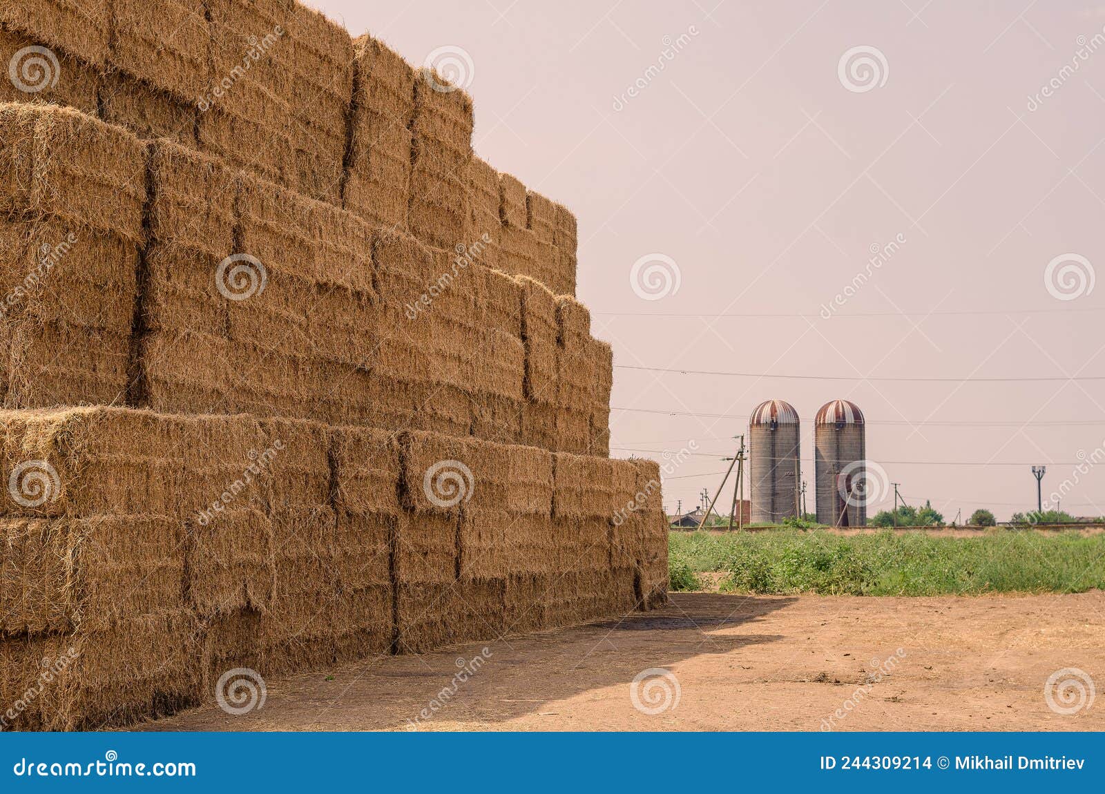 Haystack in Front of Two Cylindrical Silos on a Farm. Stack of ...