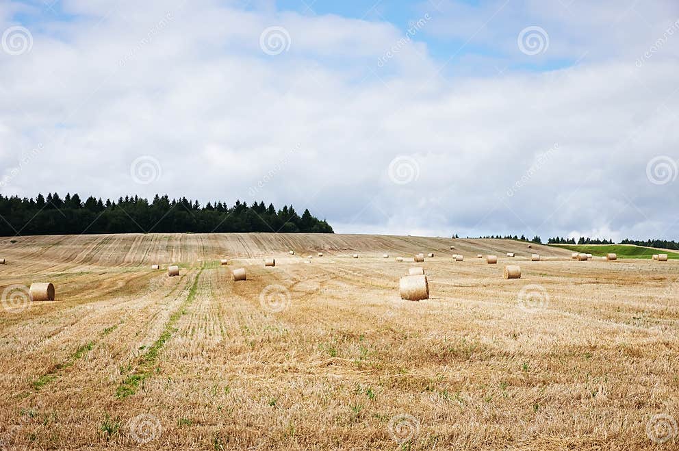 Haystack stock photo. Image of gold, grain, land, farmer - 36808914