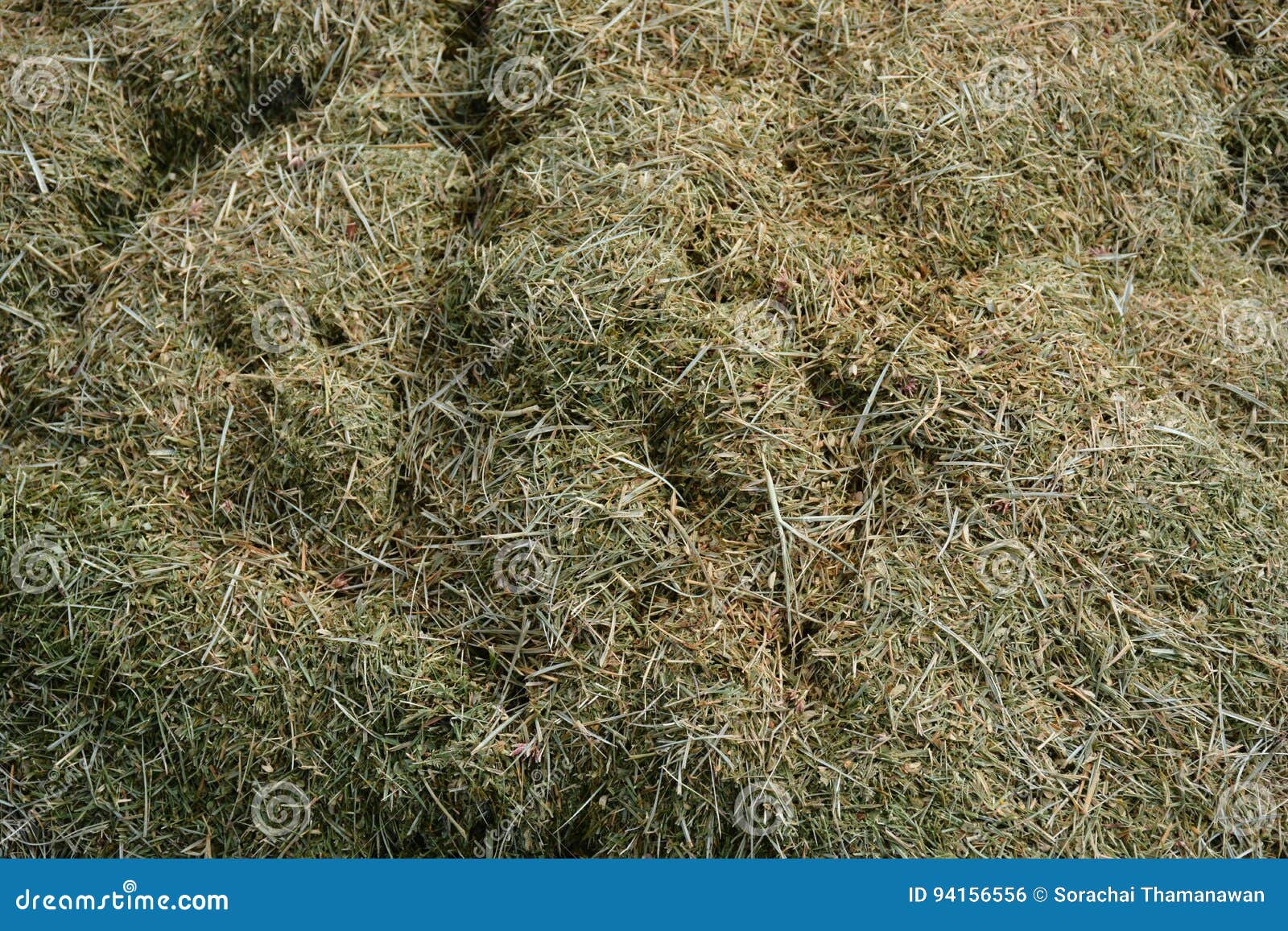 Haystack stock photo. Image of farming, harvest, gold - 94156556