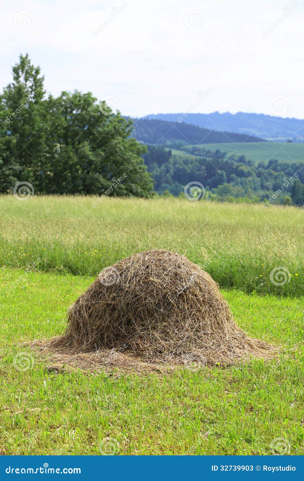 Haystack on the Grass Field and Rural Landscape Stock Image - Image of ...