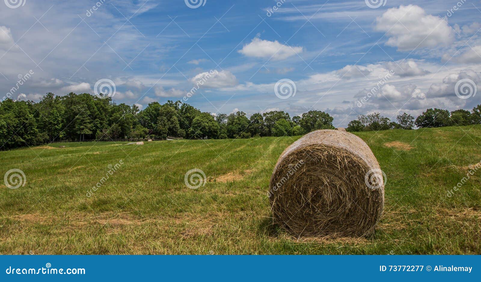 Haystack on the Green Grass Stock Image - Image of relaxing, haystack ...