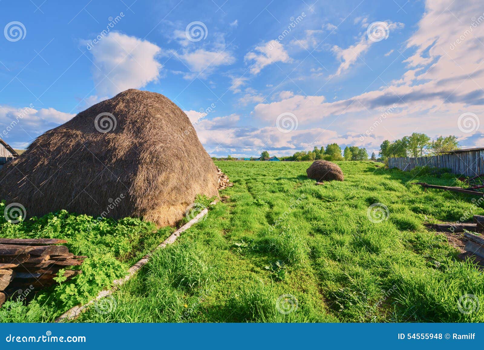 Haystack on a green grass stock photo. Image of abstract - 54555948