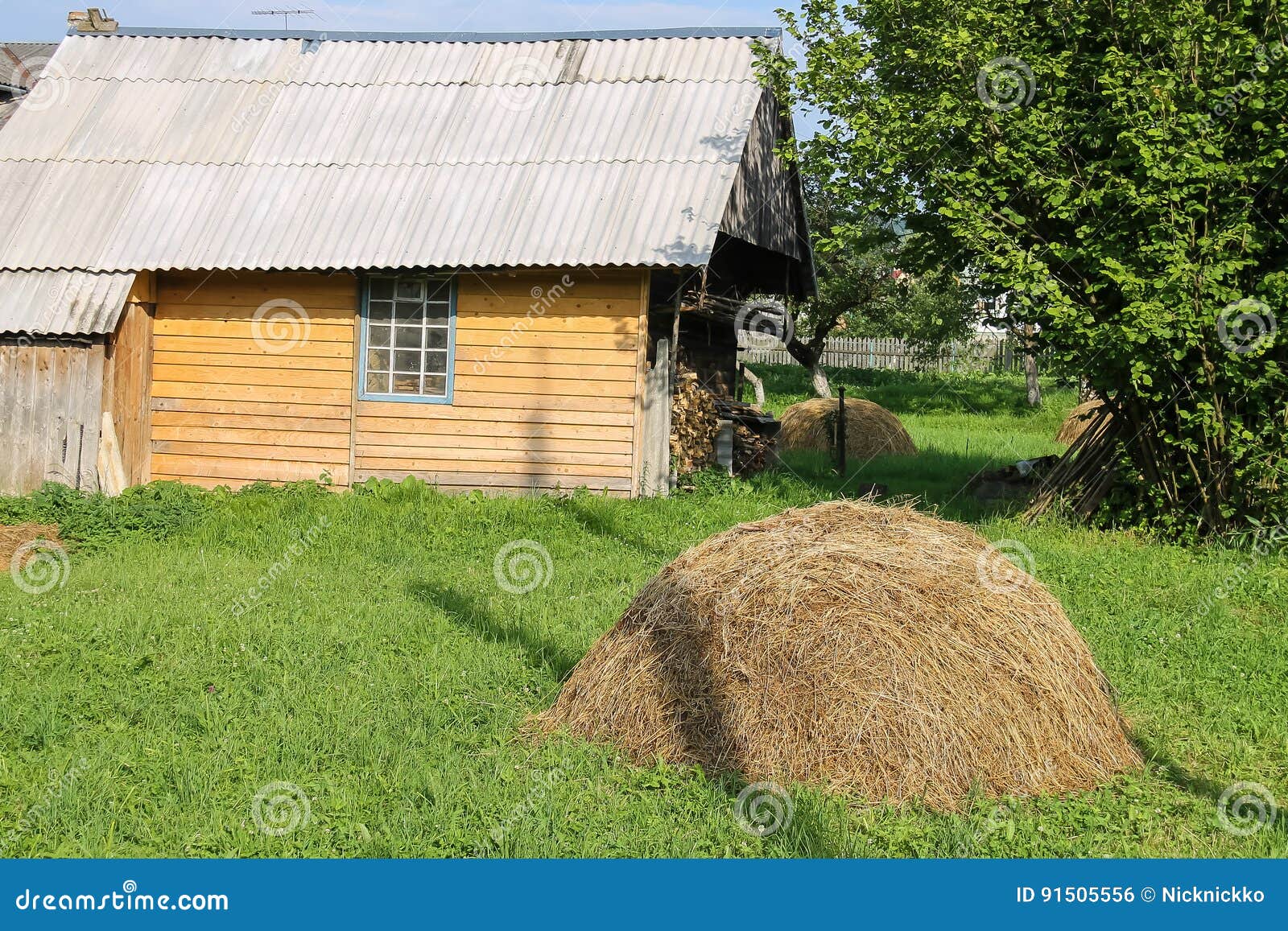 Haystack on Green Lawn in Front of House Stock Photo - Image of ...