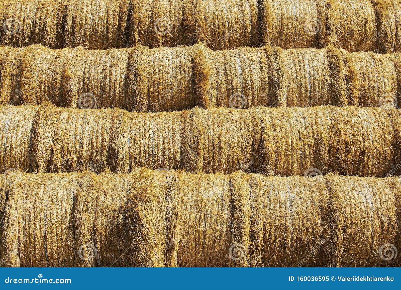 Haystack Harvest Agriculture Farm Field. Farmland Haystack View ...
