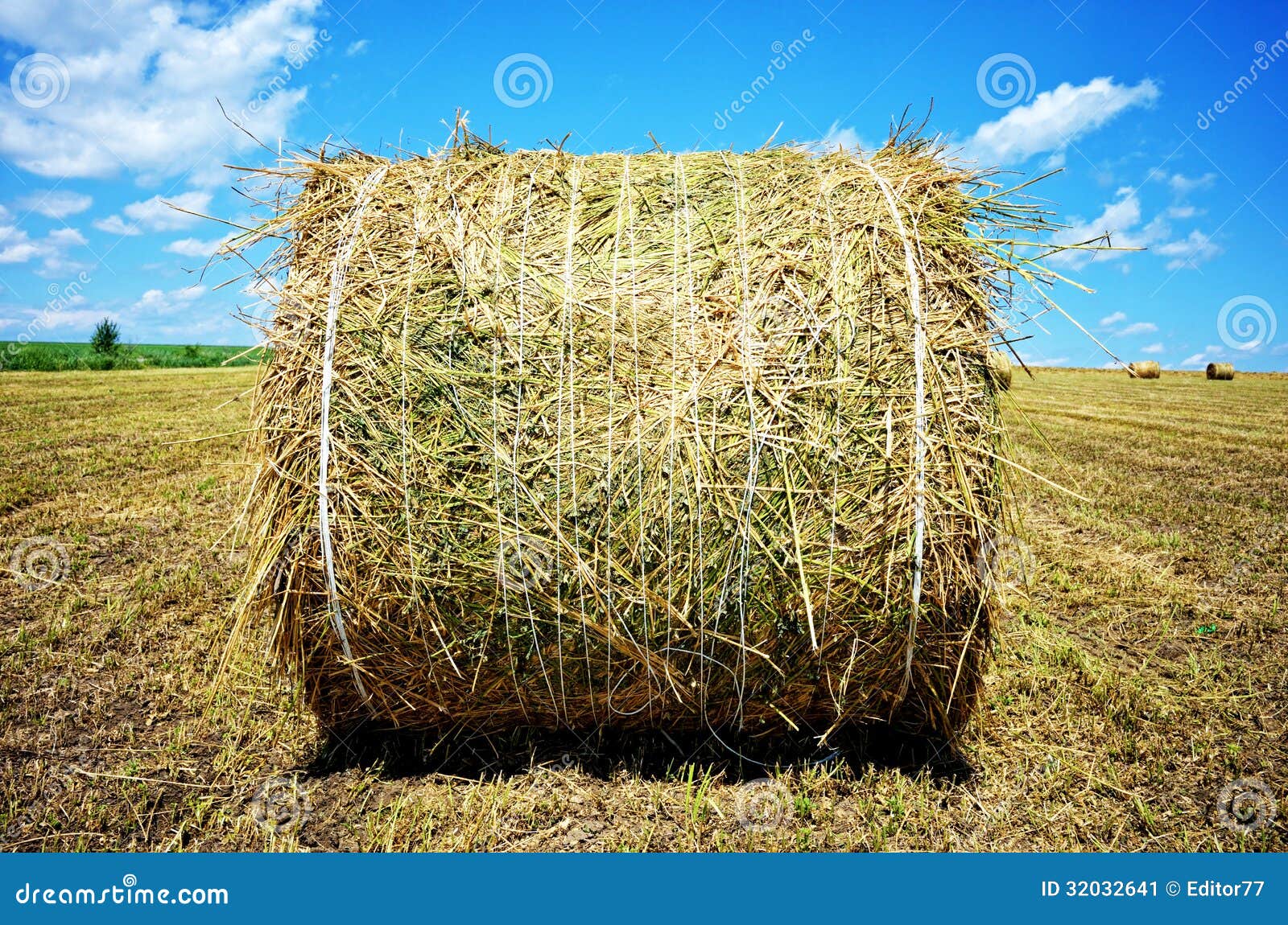 Golden Hay Bale after Harvest Stock Image - Image of exterior, harvest ...