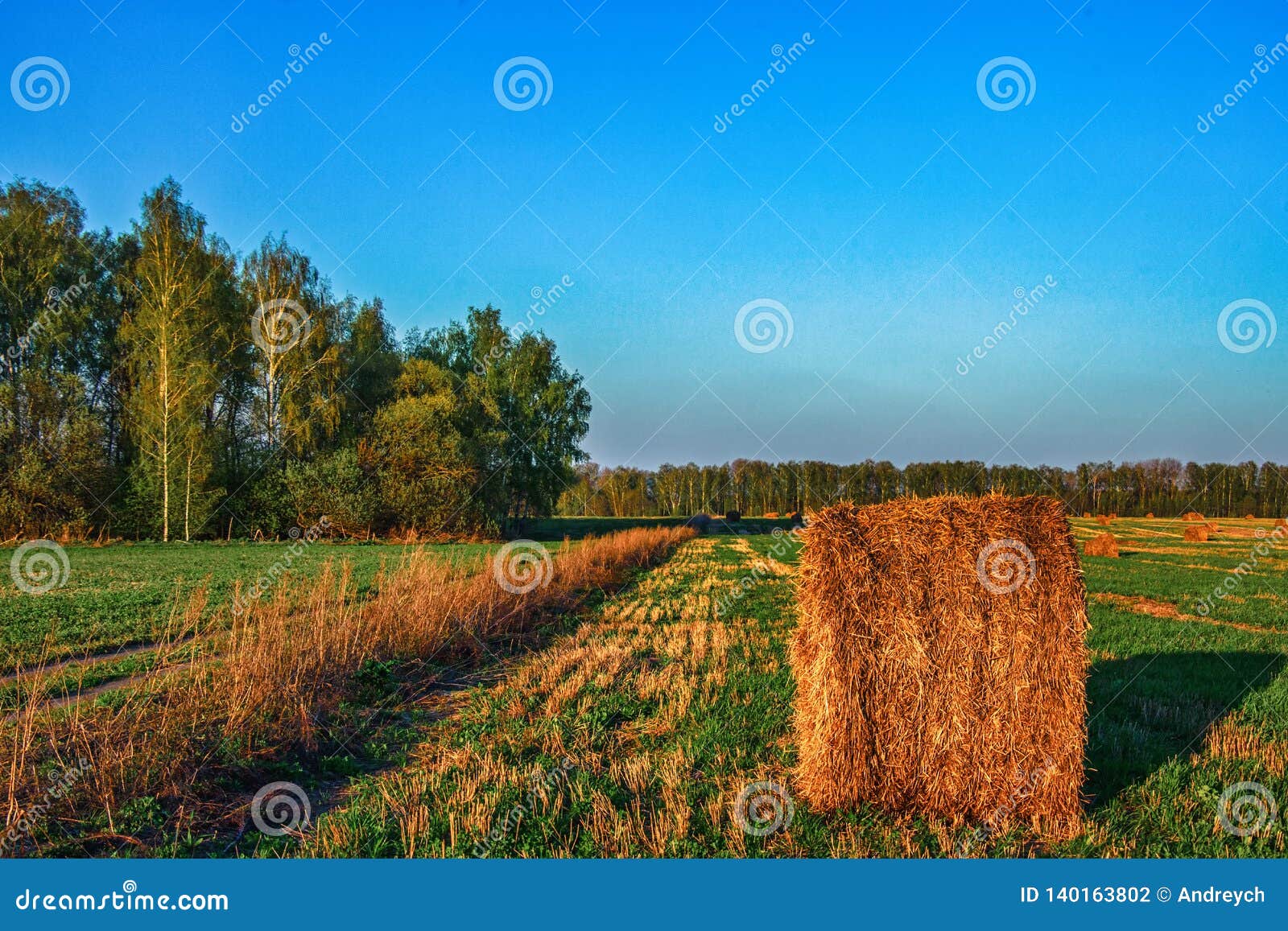 Haystack Harvest Agriculture Farm Field. Haystack On Agricultural Field ...