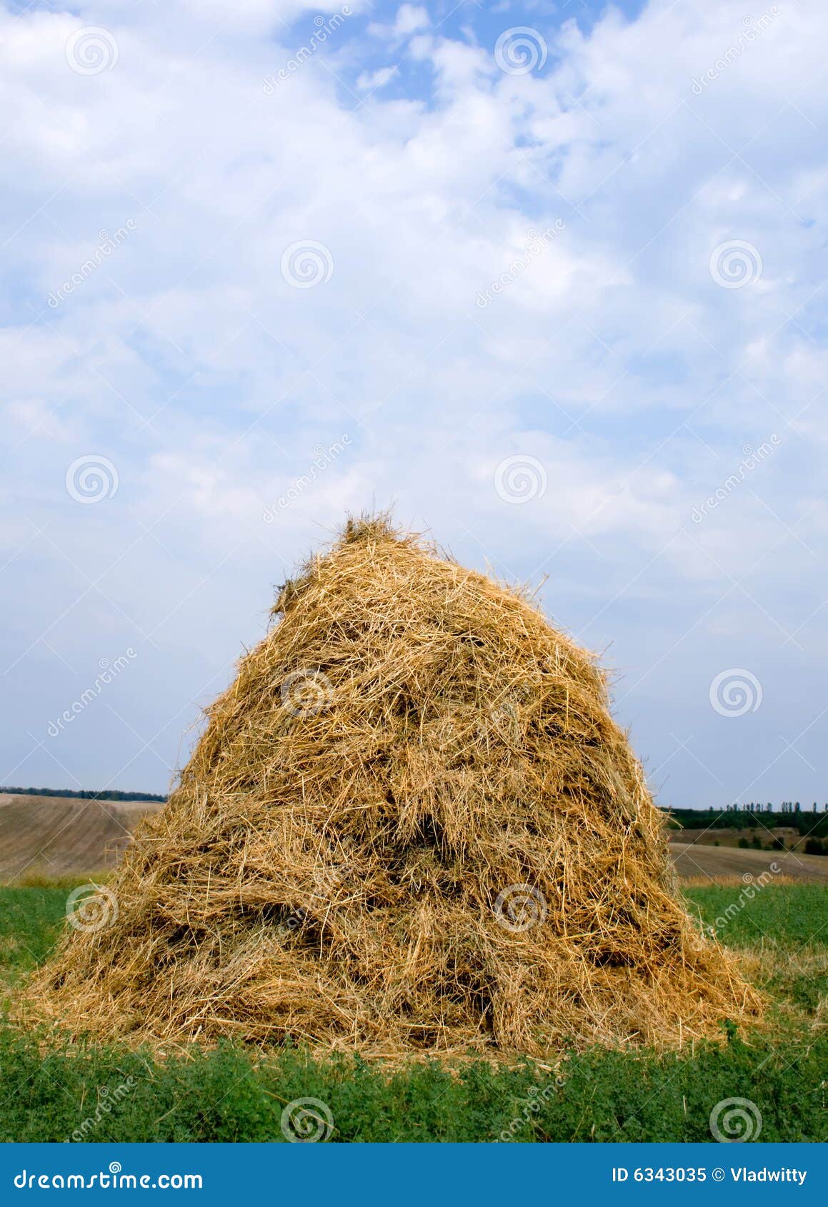 Haystack hay straw stock image. Image of bale, gold, meadow - 6343035