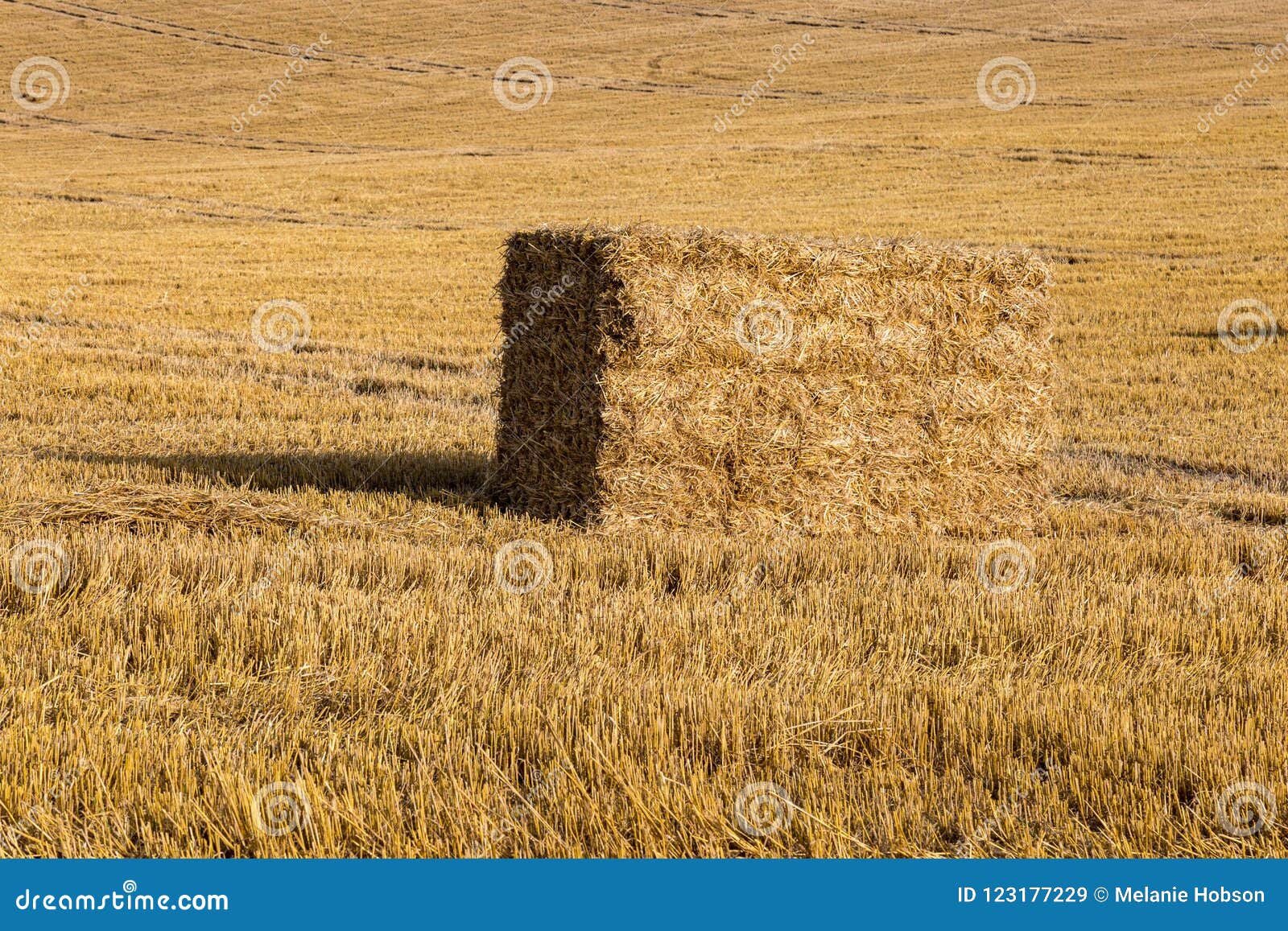 A Haystack stock image. Image of rural, frame, ploughed - 123177229