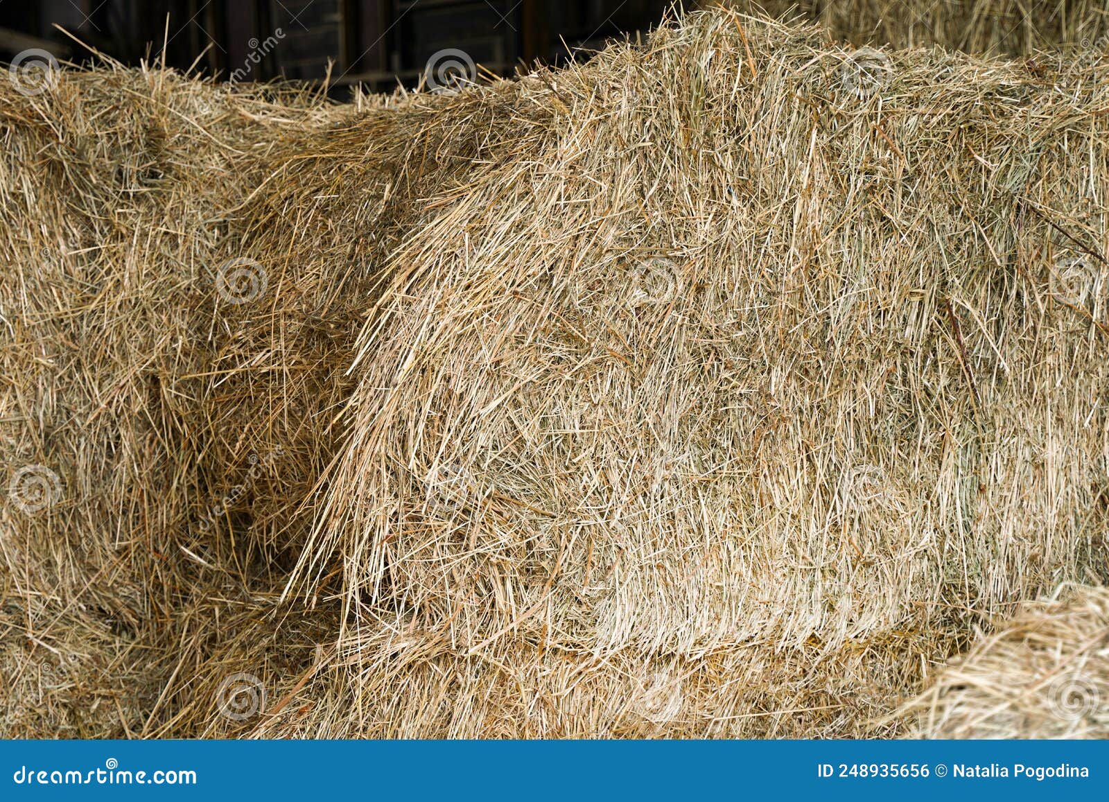 Haystack for Horses. Hay Background Stock Photo - Image of summer ...