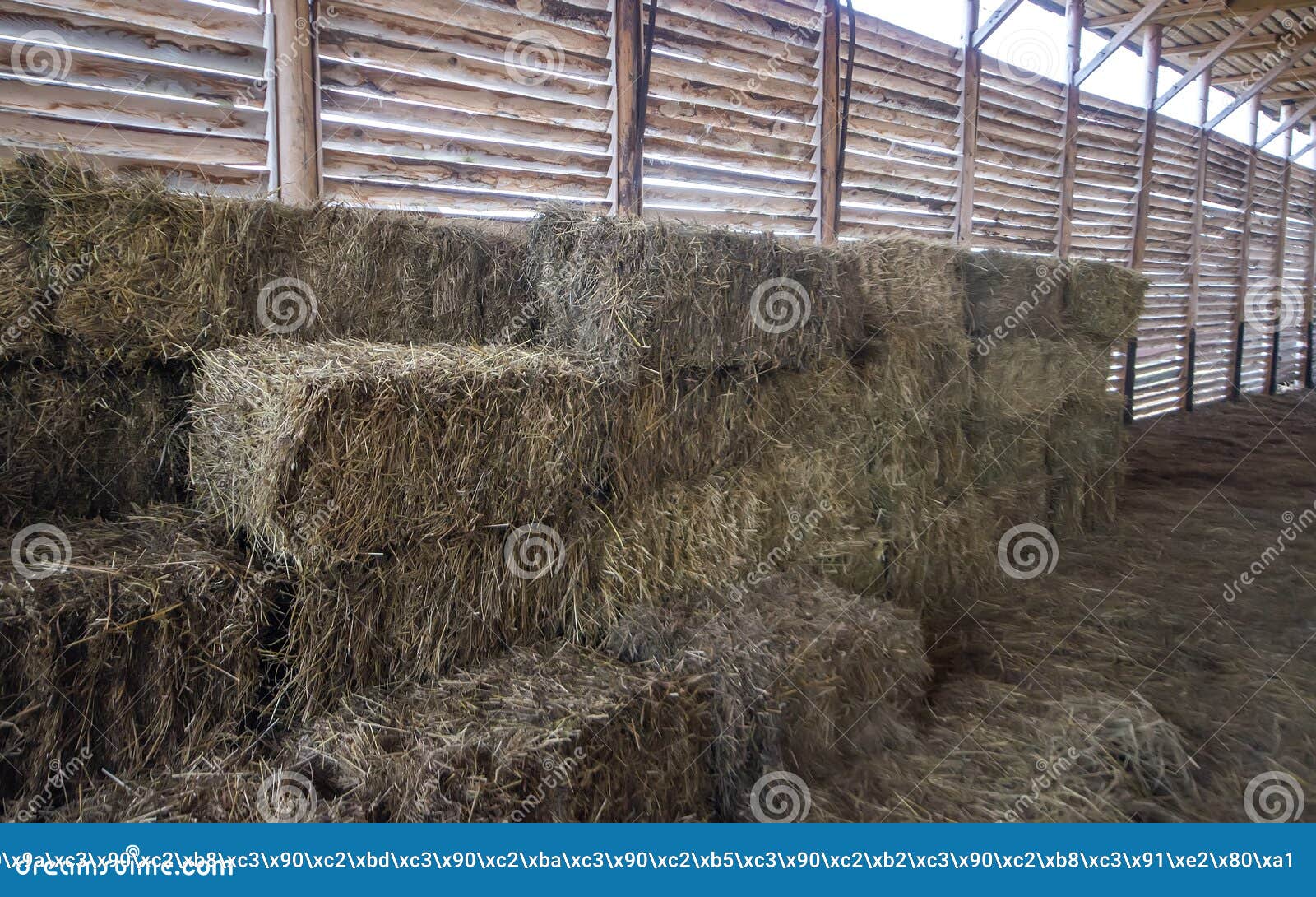 Haystack for Horses in a Wooden Barn Stock Photo - Image of plantation ...