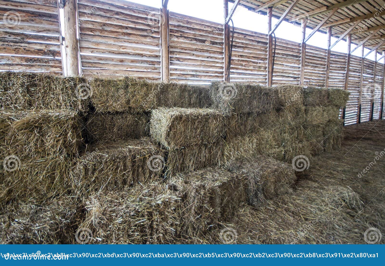 Haystack for Horses in a Wooden Barn 1 Stock Photo - Image of grunge ...