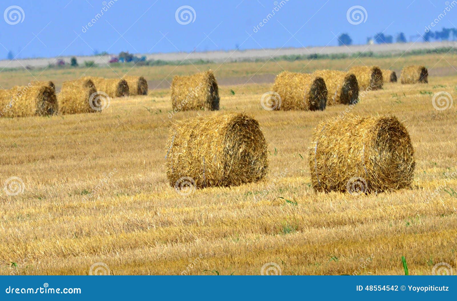 Haystack stock photo. Image of reap, producer, ground - 48554542