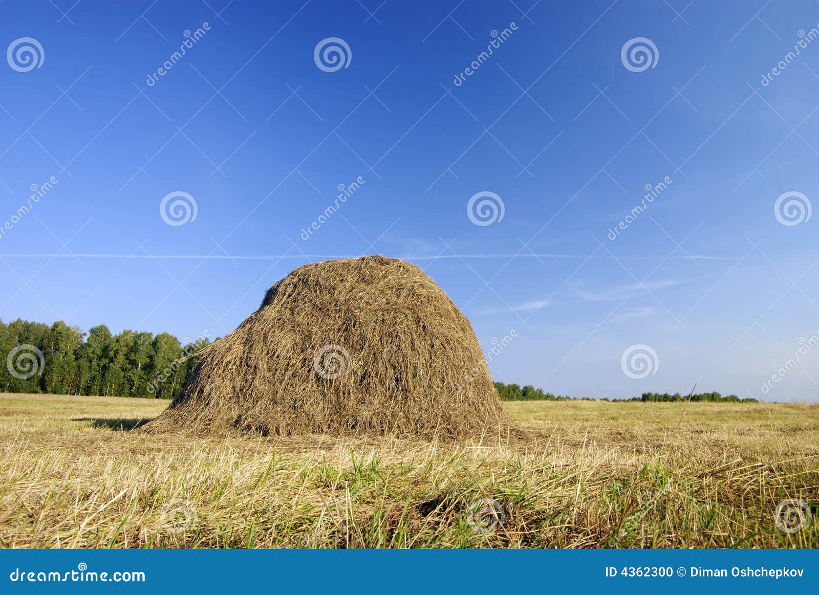 Haystack on the meadow stock photo. Image of golden, lawn - 4362300