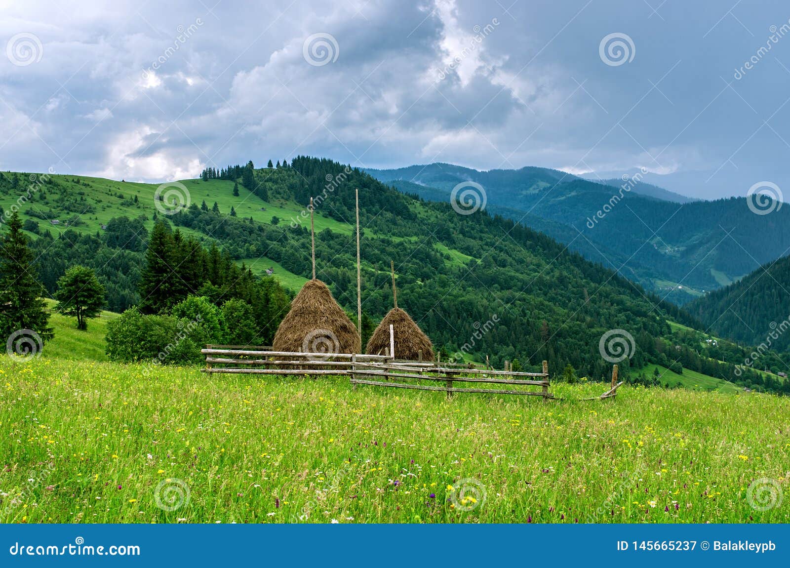 Haystack on the Meadow, in the Mountains Stock Image - Image of haymow ...