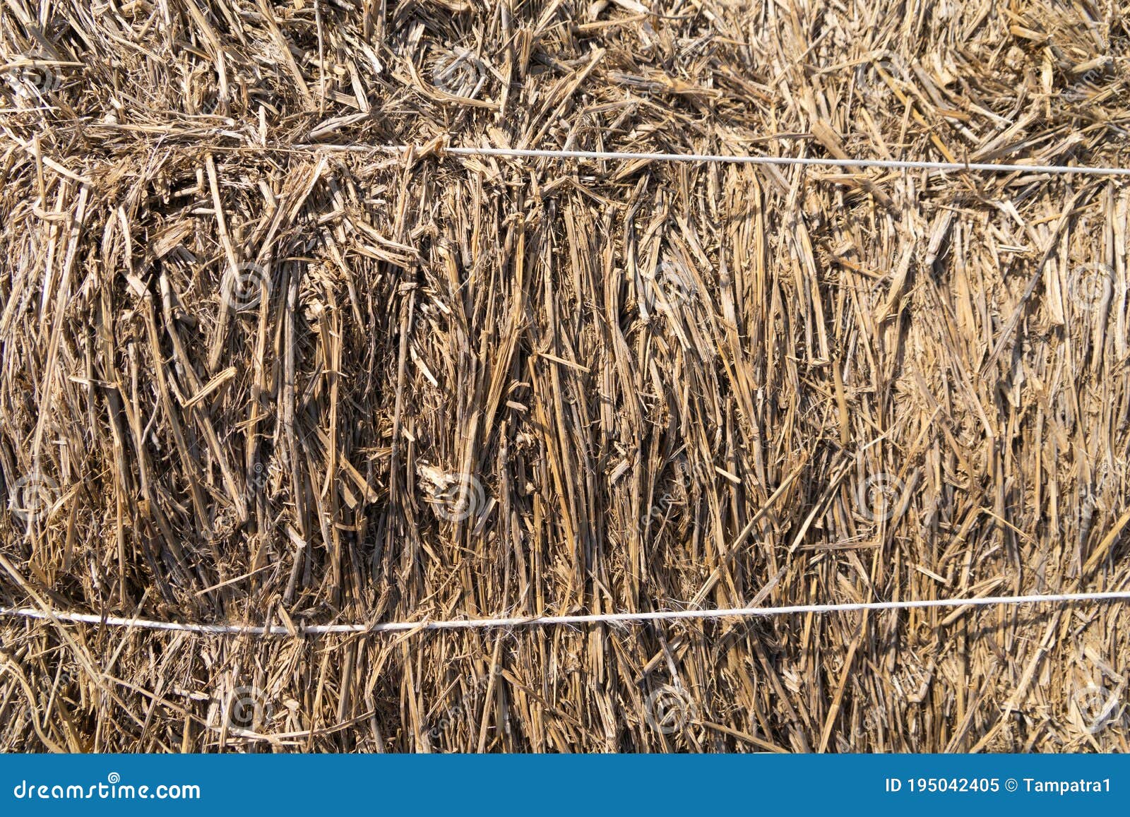 Haystack or Natural Dry Hay Straw in Grain Field in Farm. Pattern ...