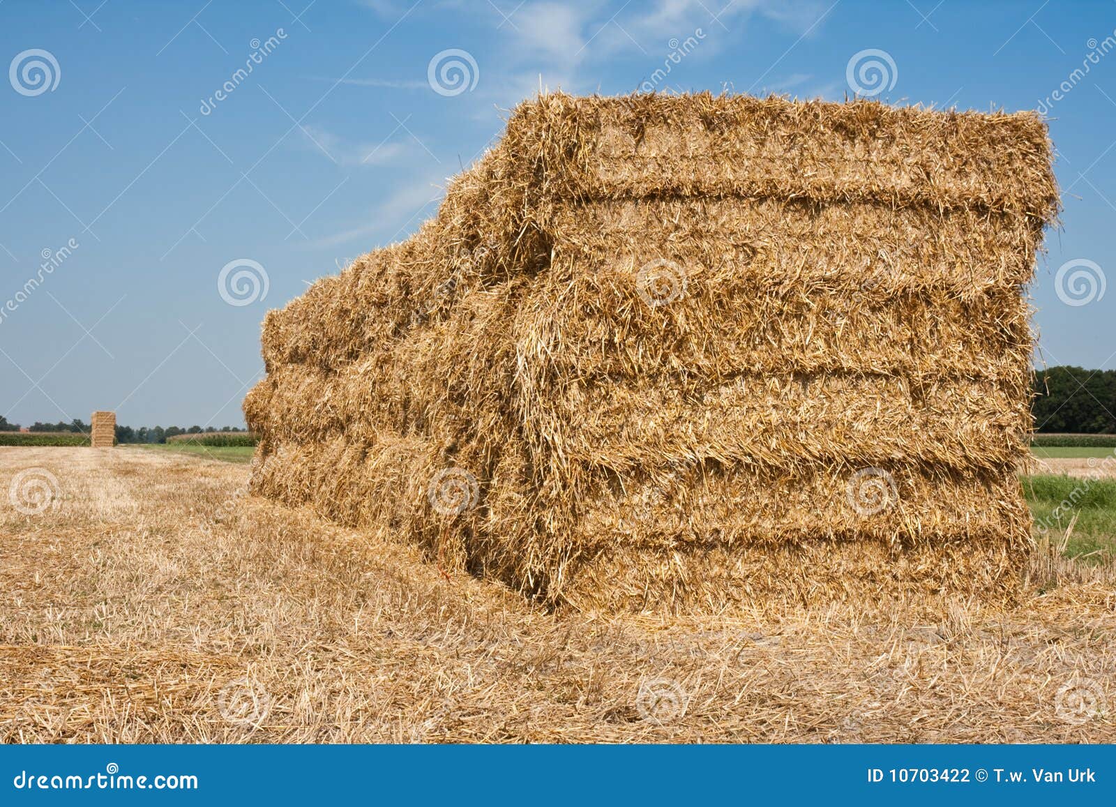 Haystack in the Netherlands Stock Photo - Image of netherlands, country ...