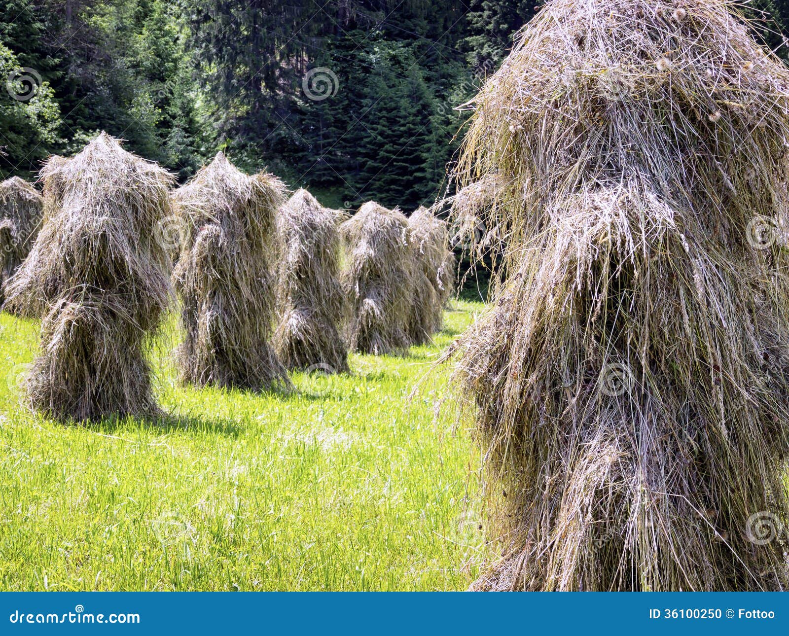 Haystack stock photo. Image of scenics, idyllic, straw - 36100250