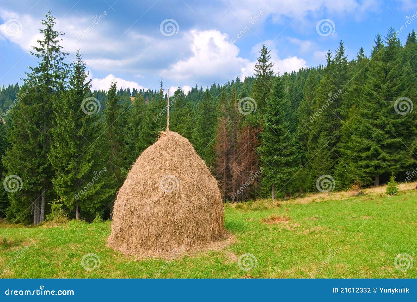 Haystack on a pasture stock photo. Image of sheaf, rural - 21012332