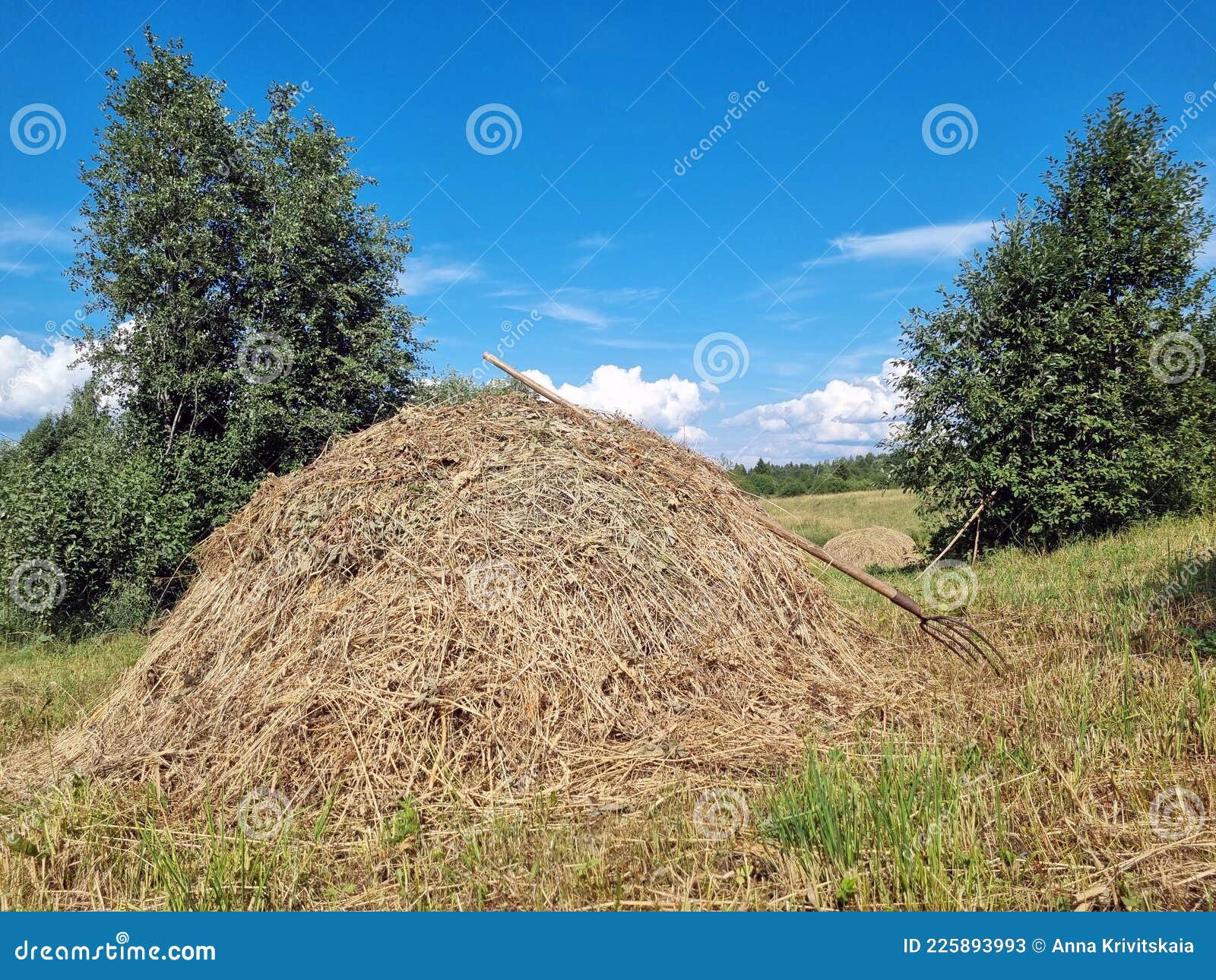 Haystack and Pitchfork in the Field Stock Image - Image of agricultural ...