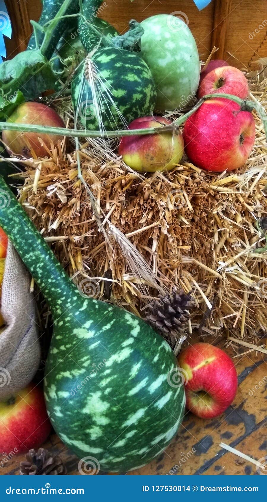 Autumn Still Life - Rich Harvest on a Haystack Stock Photo - Image of ...