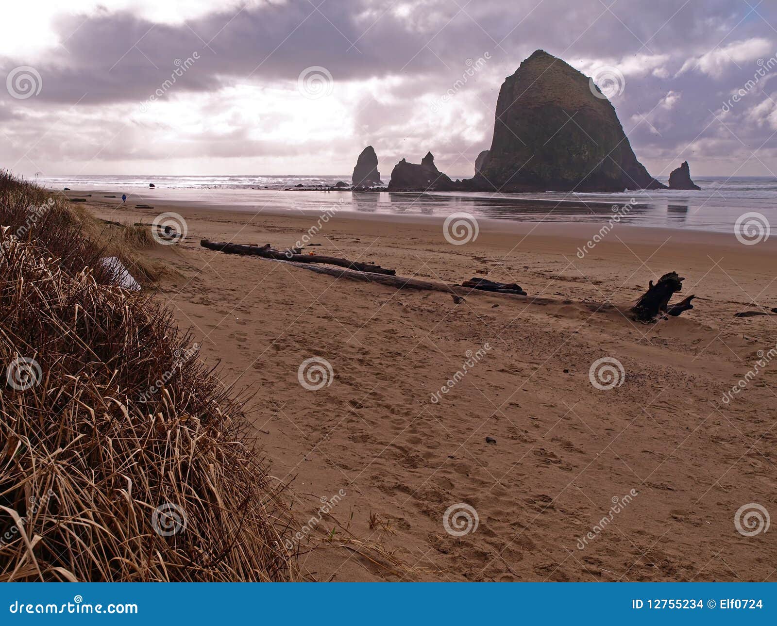Haystack Rock in Oregon Coast Stock Photo - Image of beach, cloudy ...