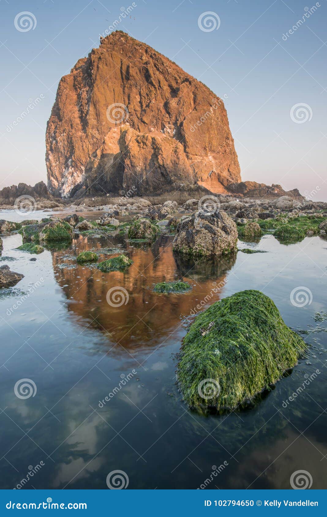 Haystack Rock Reflects in Shallow Tide Pool Stock Photo - Image of ...