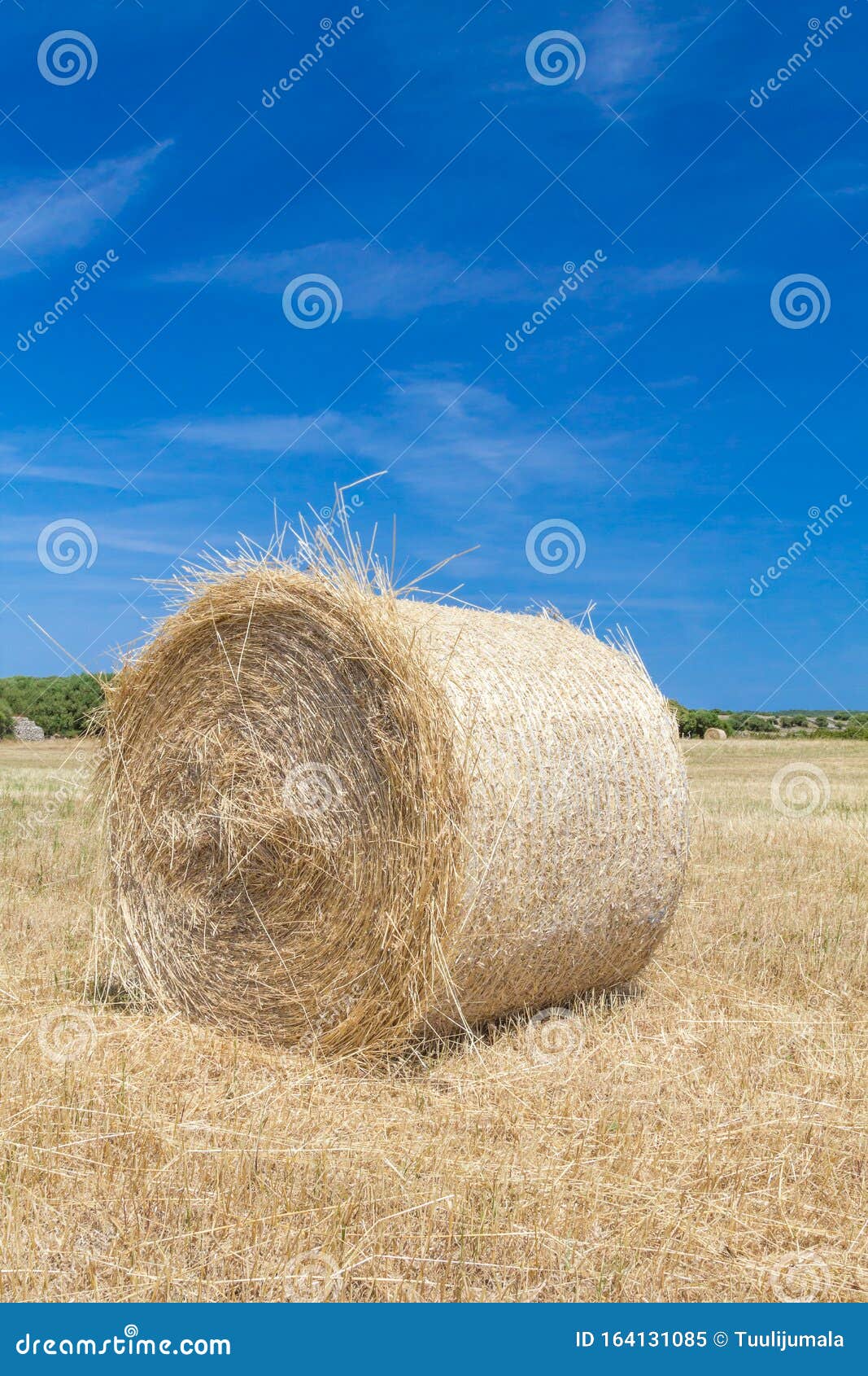 Haystack Roll Bale on the Field Landscape Stock Image - Image of autumn ...