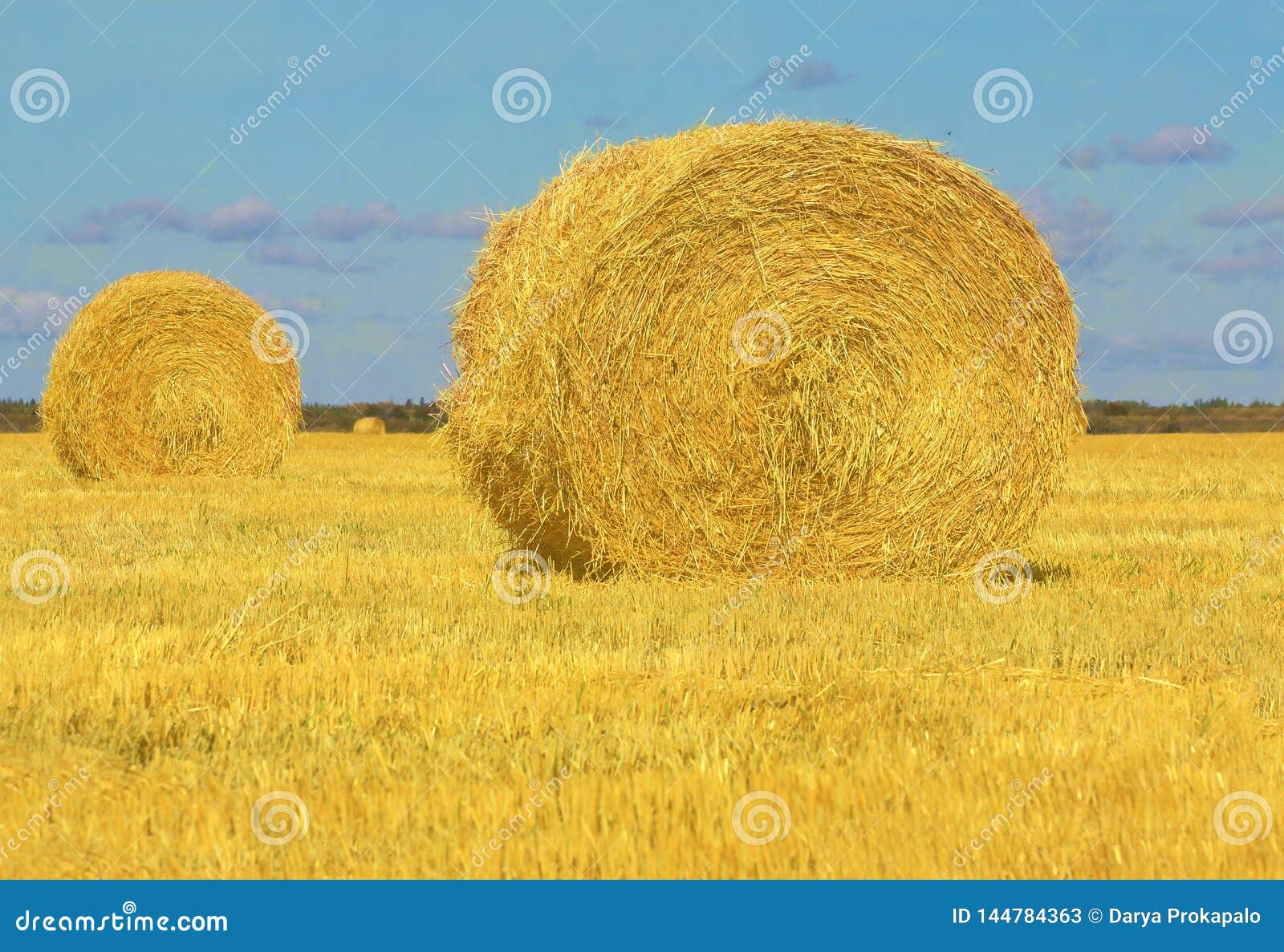 Haystack rolls in Manitoba stock image. Image of nature - 144784363