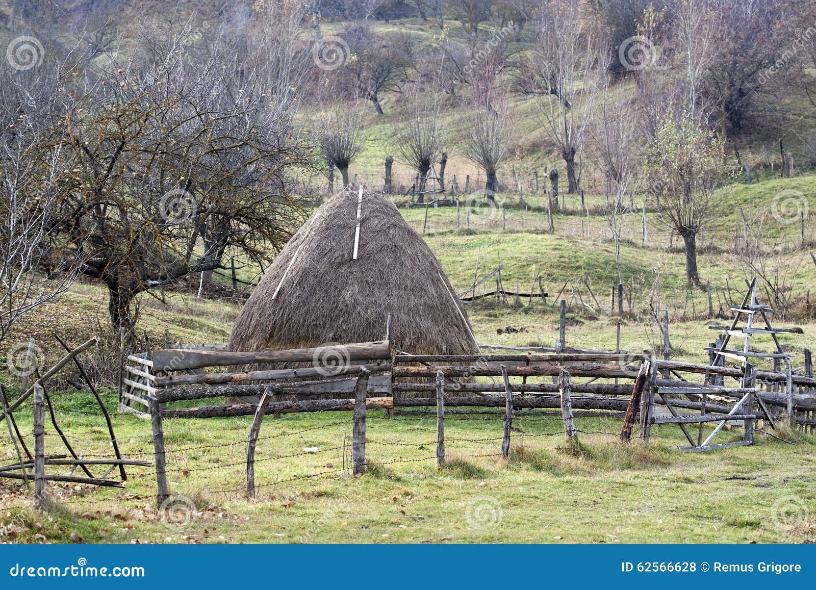 Haystack - RAW format stock photo. Image of stack, haystack - 62566628