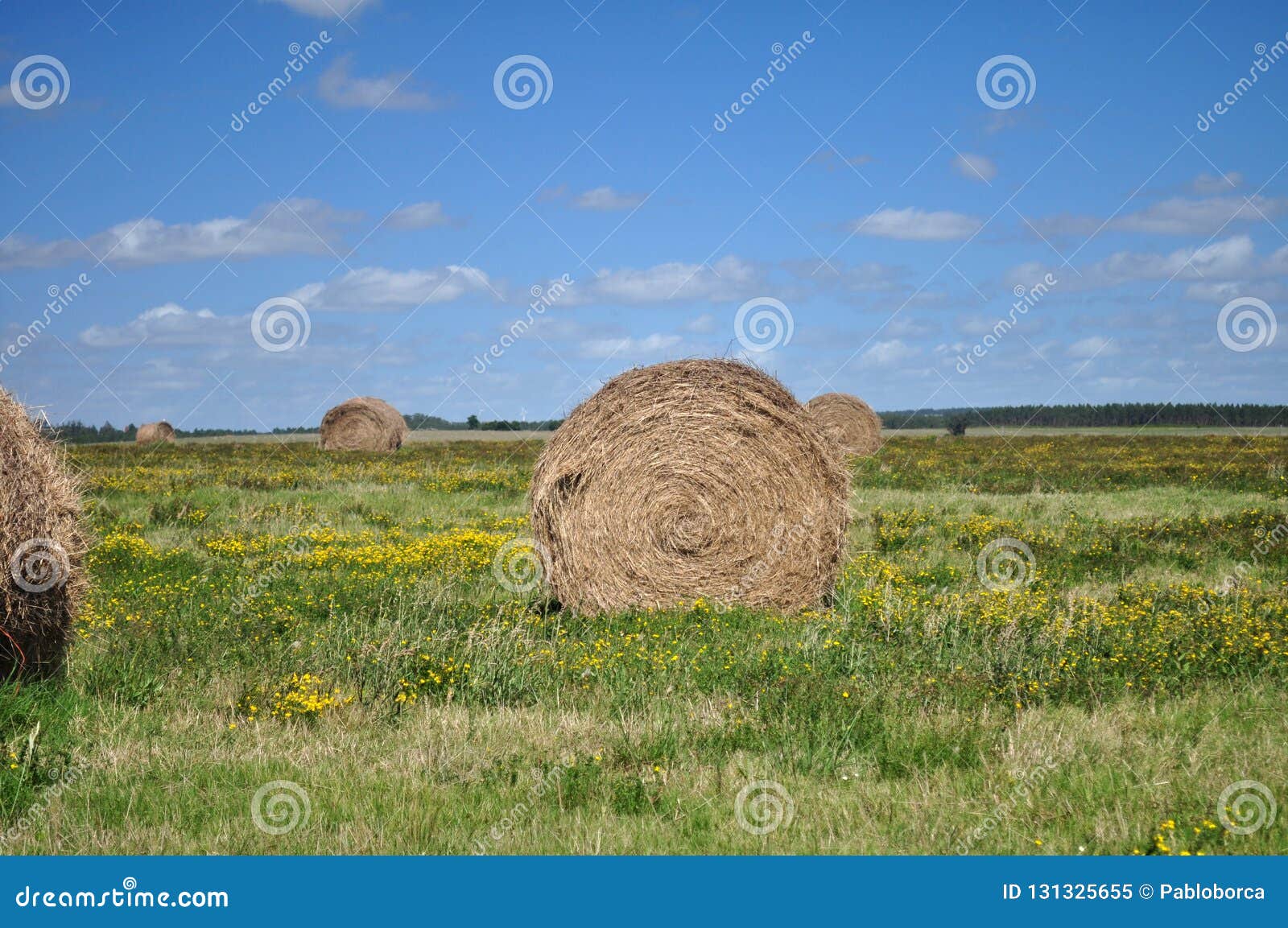 Haystack stock image. Image of destinations, bale, haystack - 131325655