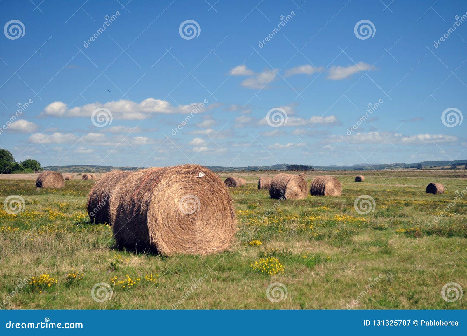 Haystack stock image. Image of rocha, nature, destinations - 131325707