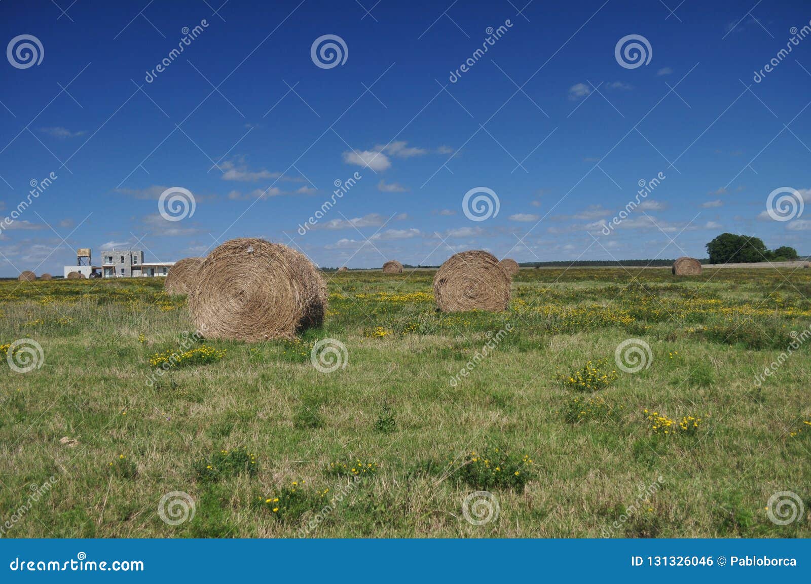 Haystack stock photo. Image of latin, scenic, farm, field - 131326046