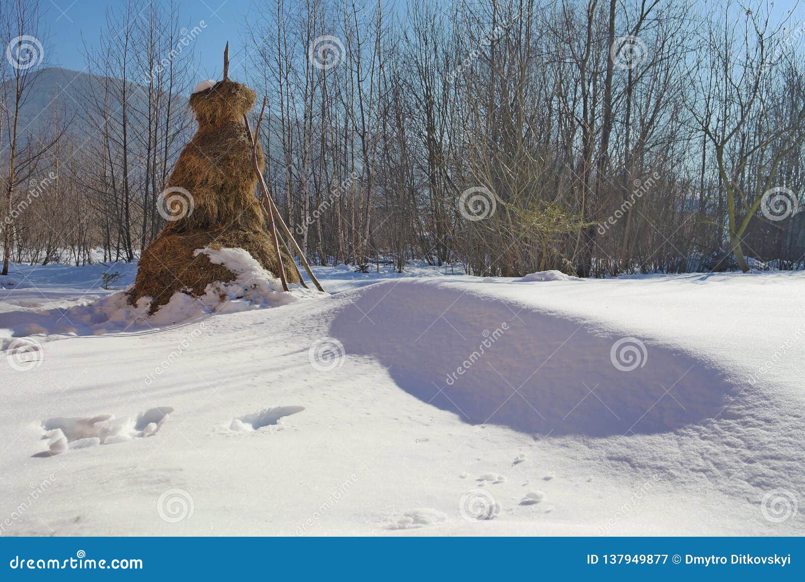 Haystack on the snow stock image. Image of yellow, trail - 137949877