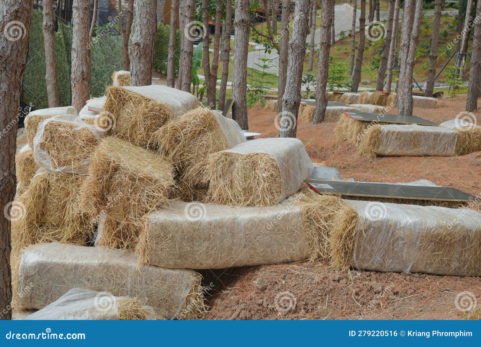 The haystack is stacked stock photo. Image of comfortable - 279220516