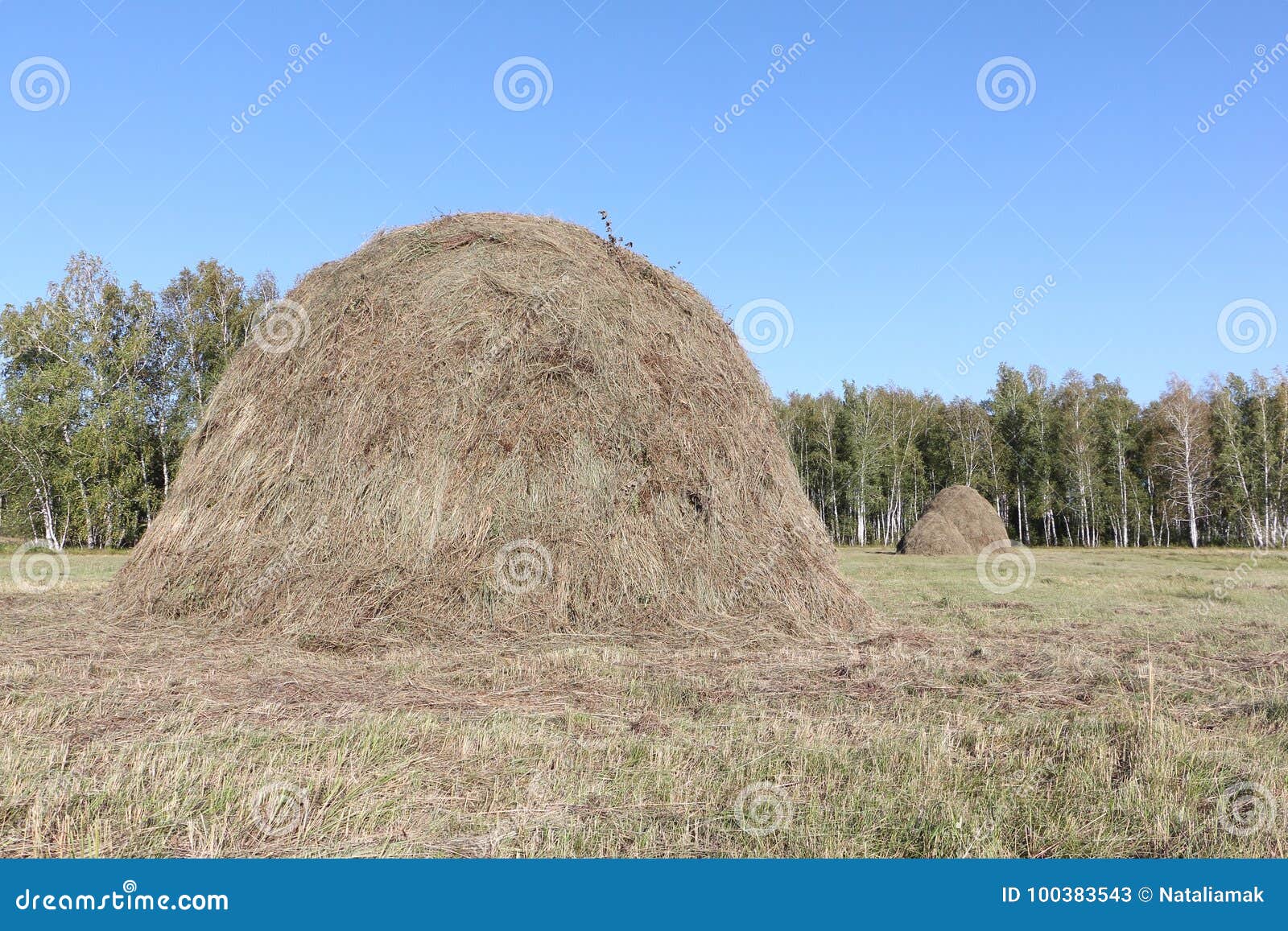 Haystack Standing on a Slanted Field Stock Image - Image of sheaf ...