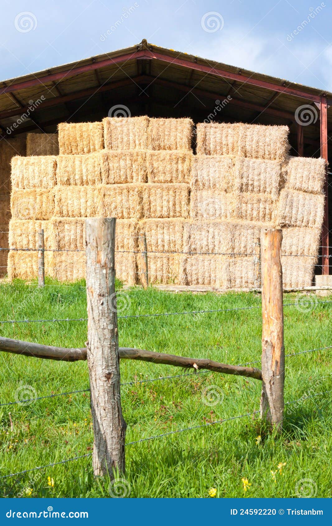 Haystack stored and fence stock photo. Image of haystack - 24592220